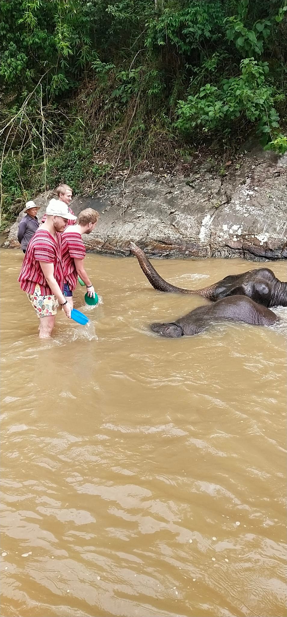 Secret Elephant Sanctuary