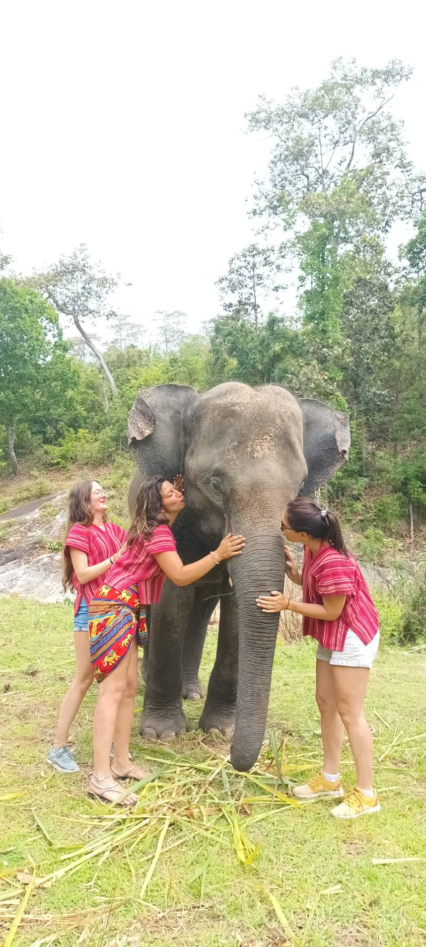 Secret Elephant Sanctuary