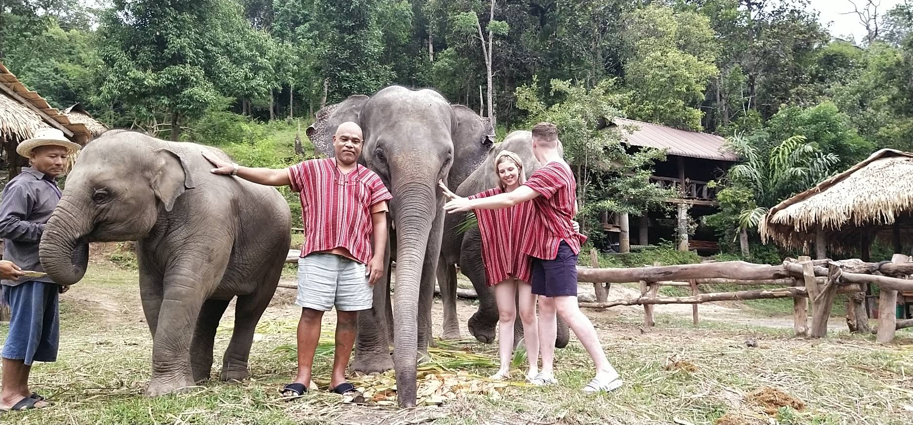 Secret Elephant Sanctuary