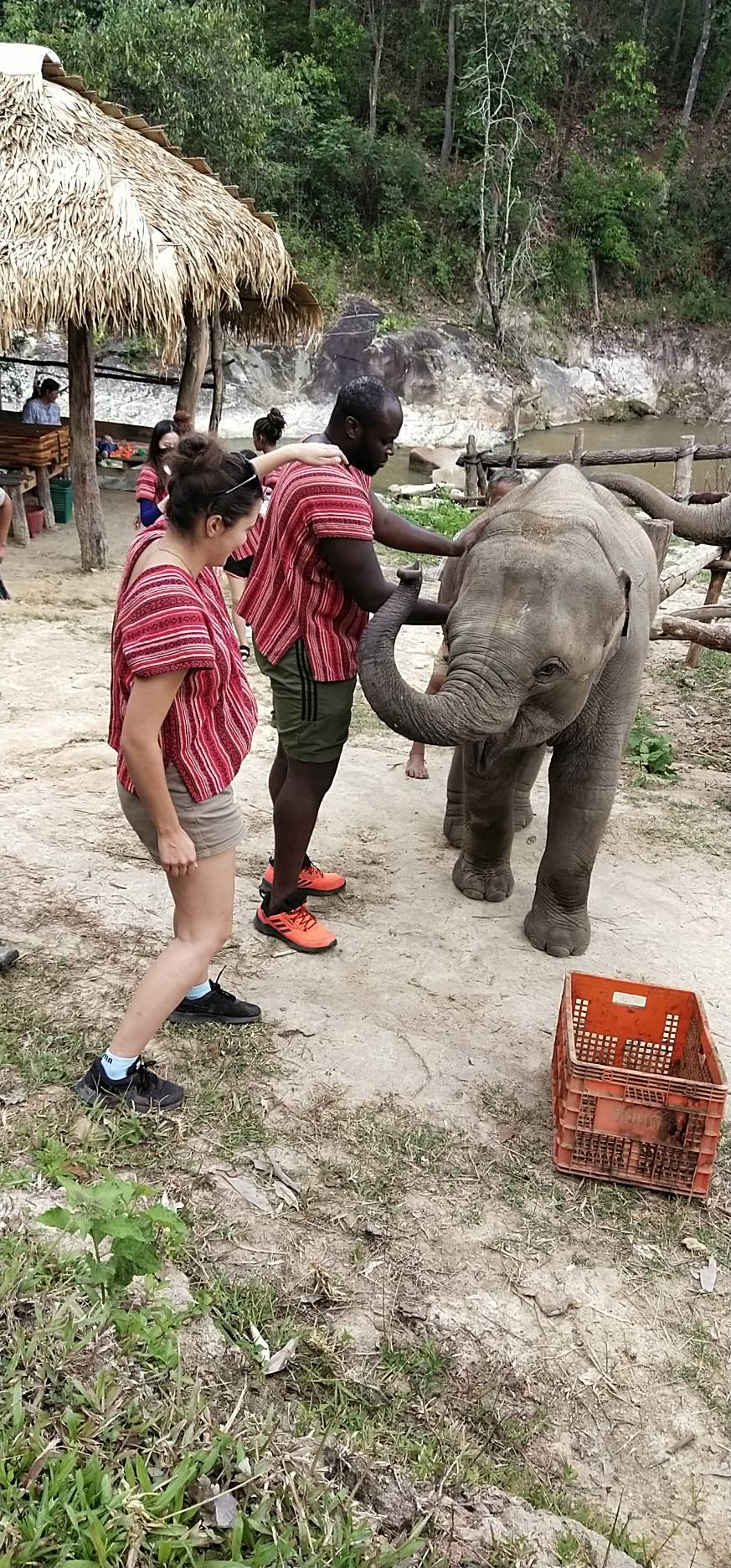 Secret Elephant Sanctuary