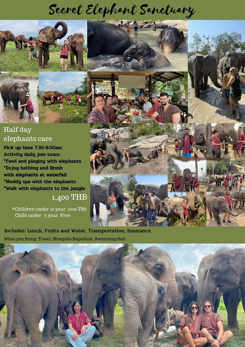 Secret Elephant Sanctuary