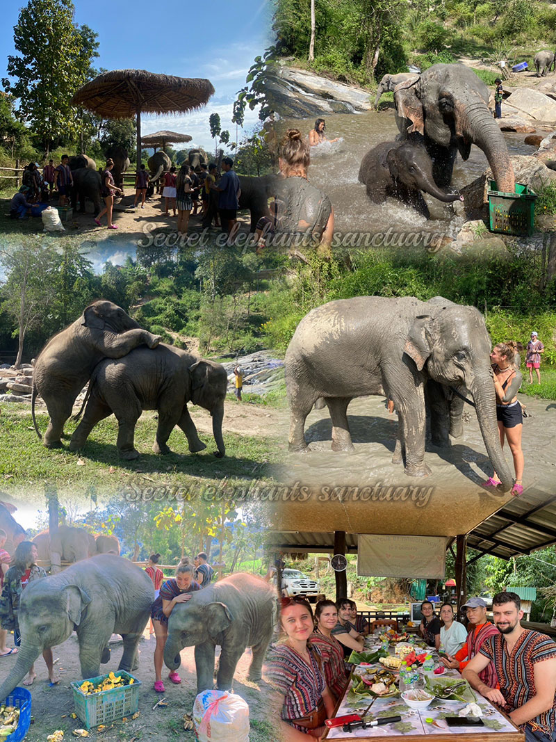 Secret Elephant Sanctuary