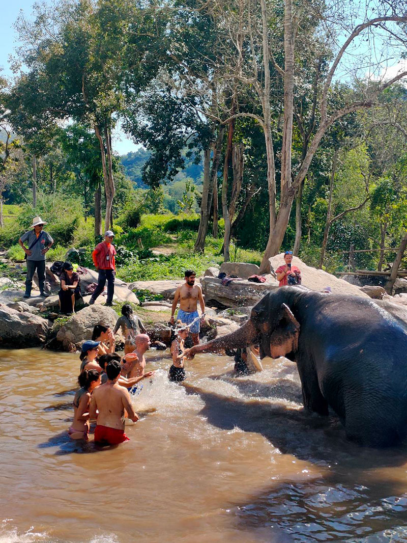 Secret Elephant Sanctuary