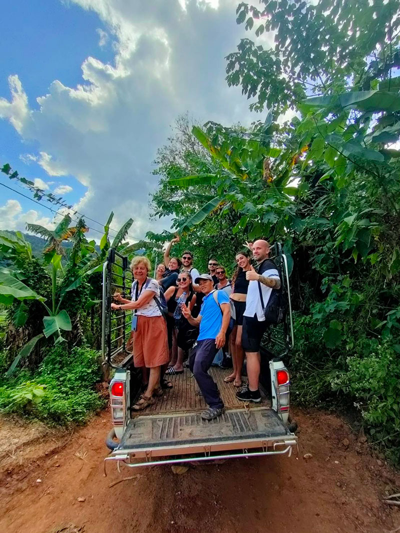 Secret Elephant Sanctuary