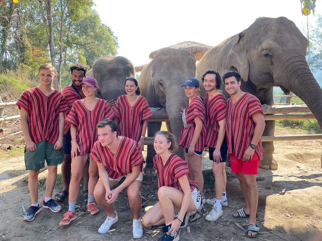 Secret Elephant Sanctuary