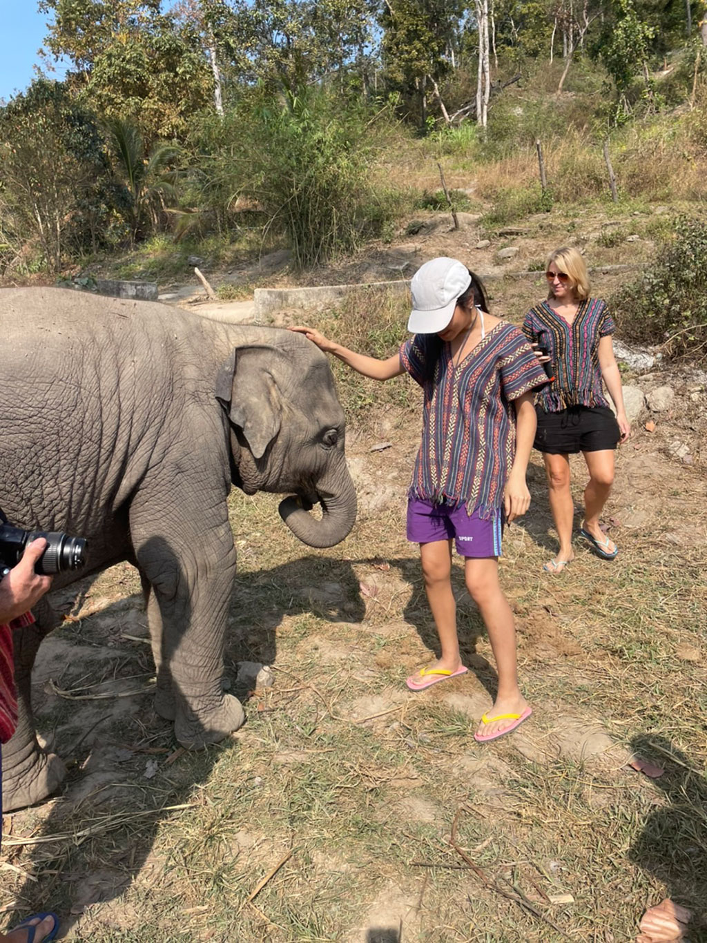 Secret Elephant Sanctuary