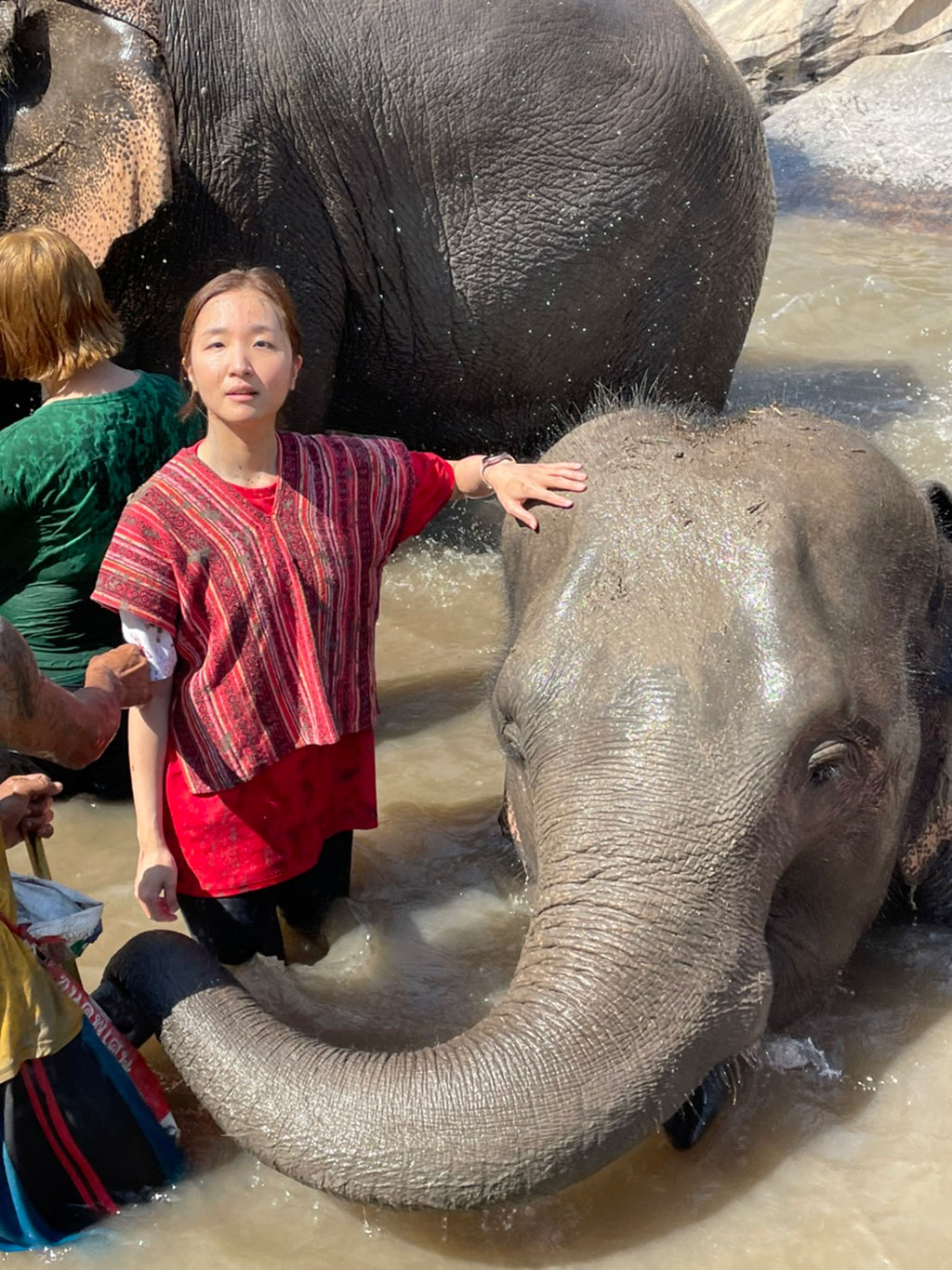 Secret Elephant Sanctuary