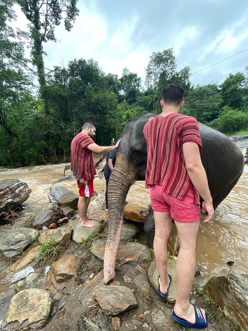 Secret Elephant Sanctuary