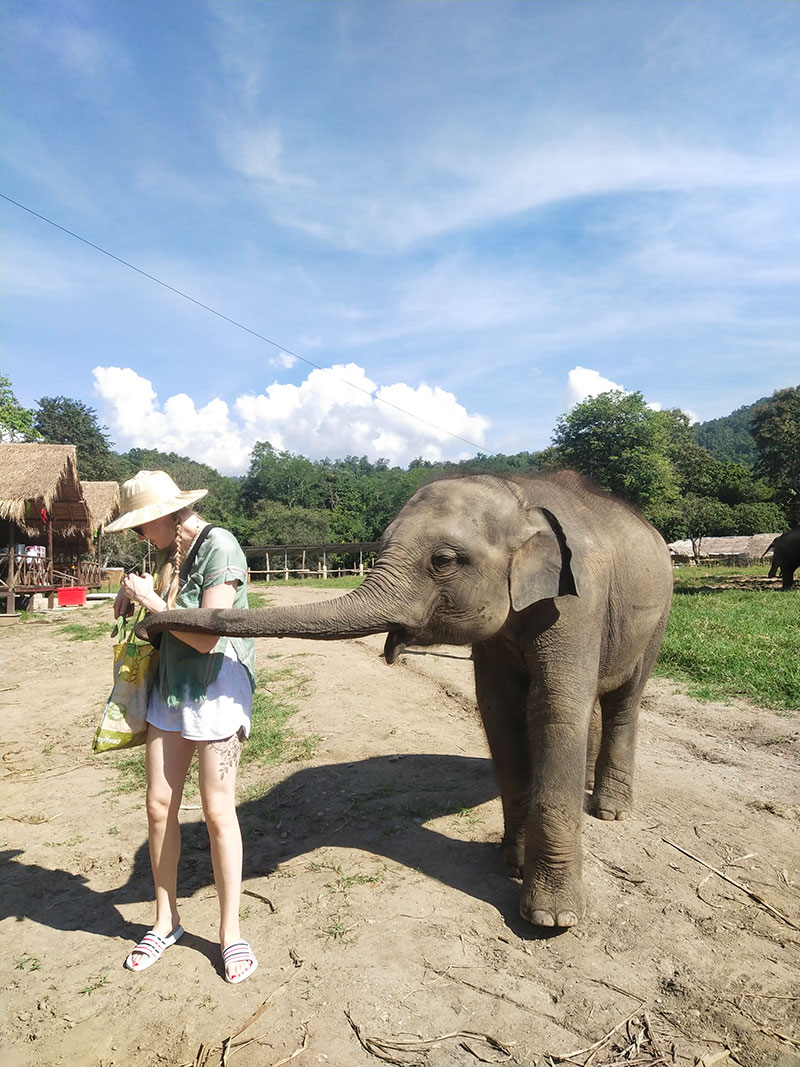 Secret Elephant Sanctuary