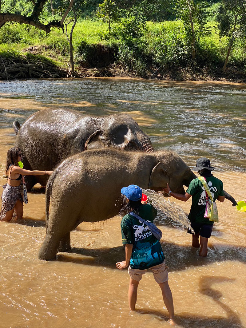 Secret Elephant Sanctuary